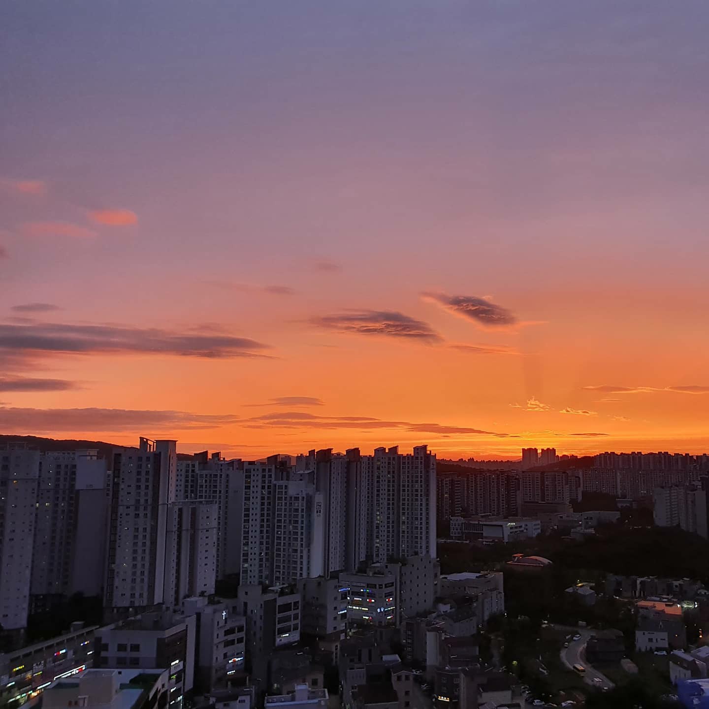 장기동 초당마을래미안한강의 실거래가 시세 매물 주변정보 아파트는 호갱노노