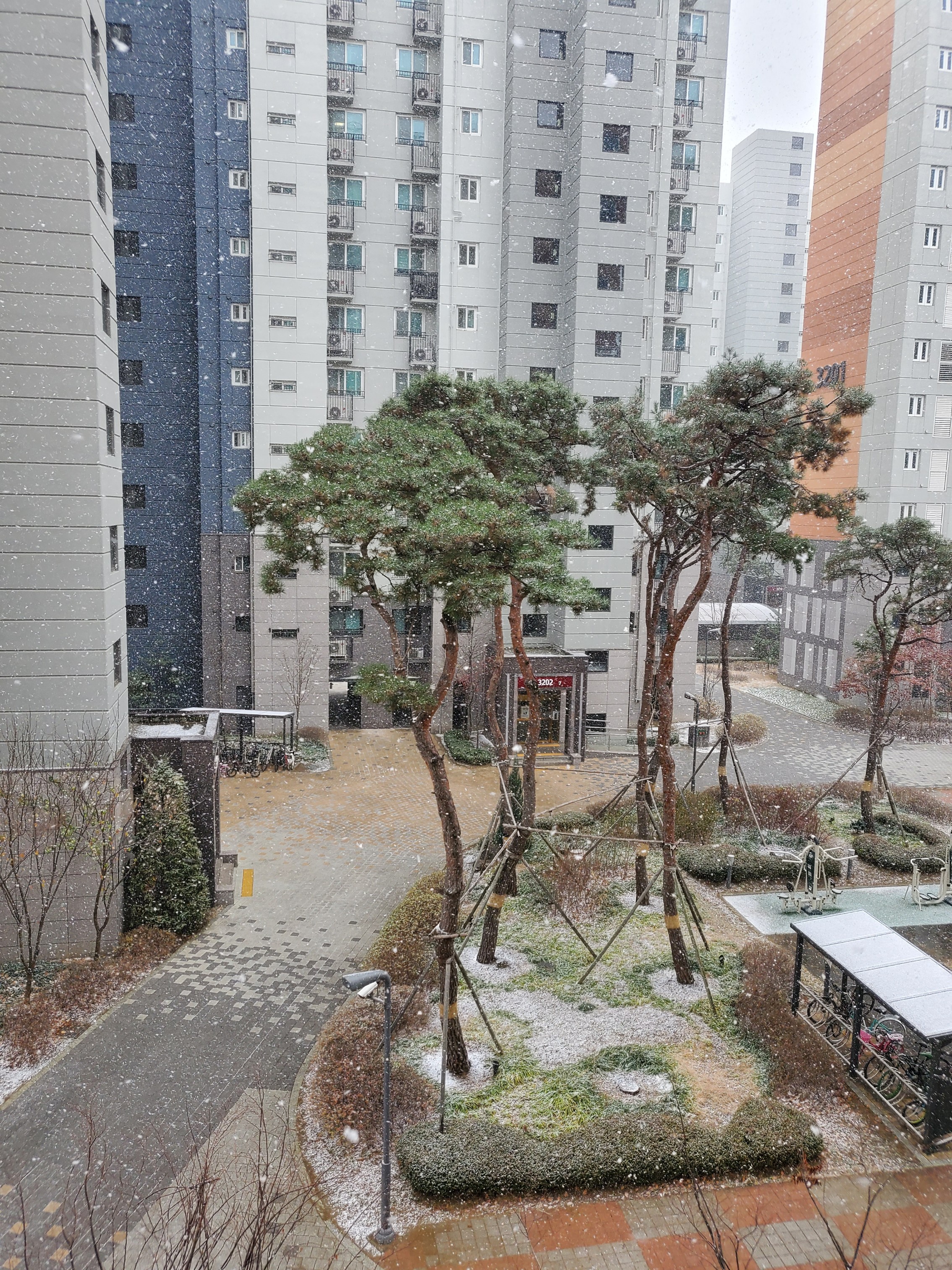 위례 창곡동 위례자연앤센트럴자이의 실거래가 시세 매물 주변정보 아파트는 호갱노노