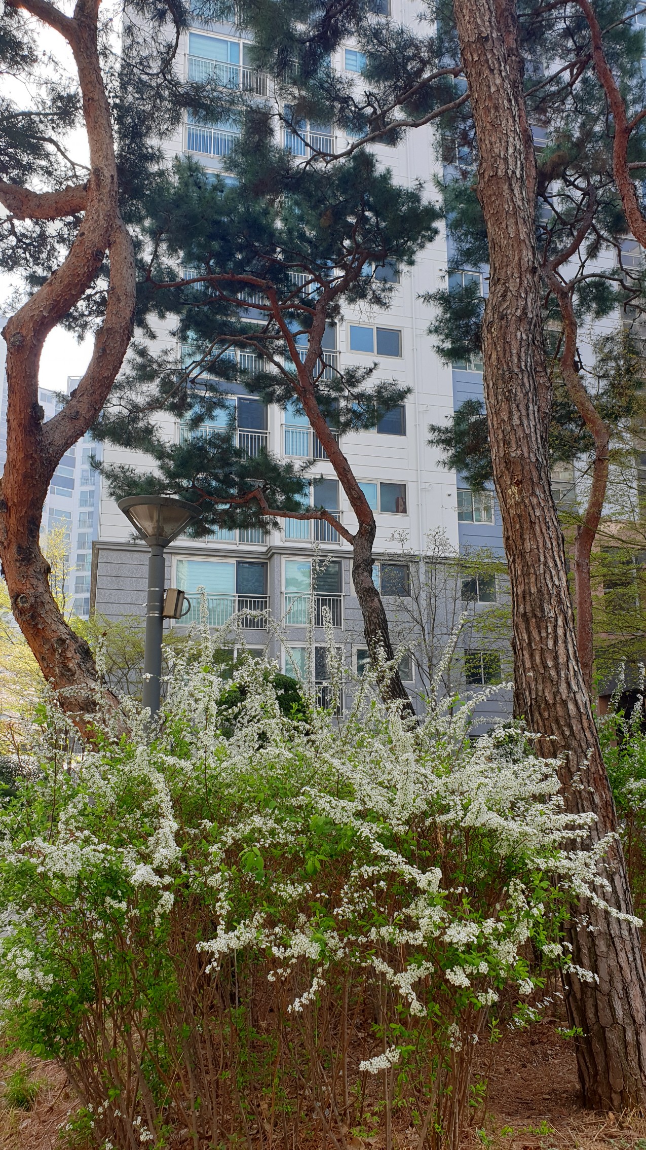 성당래미안이편한세상2단지의 이야기 | 조용하고 대단지이지만 재미는 없었던