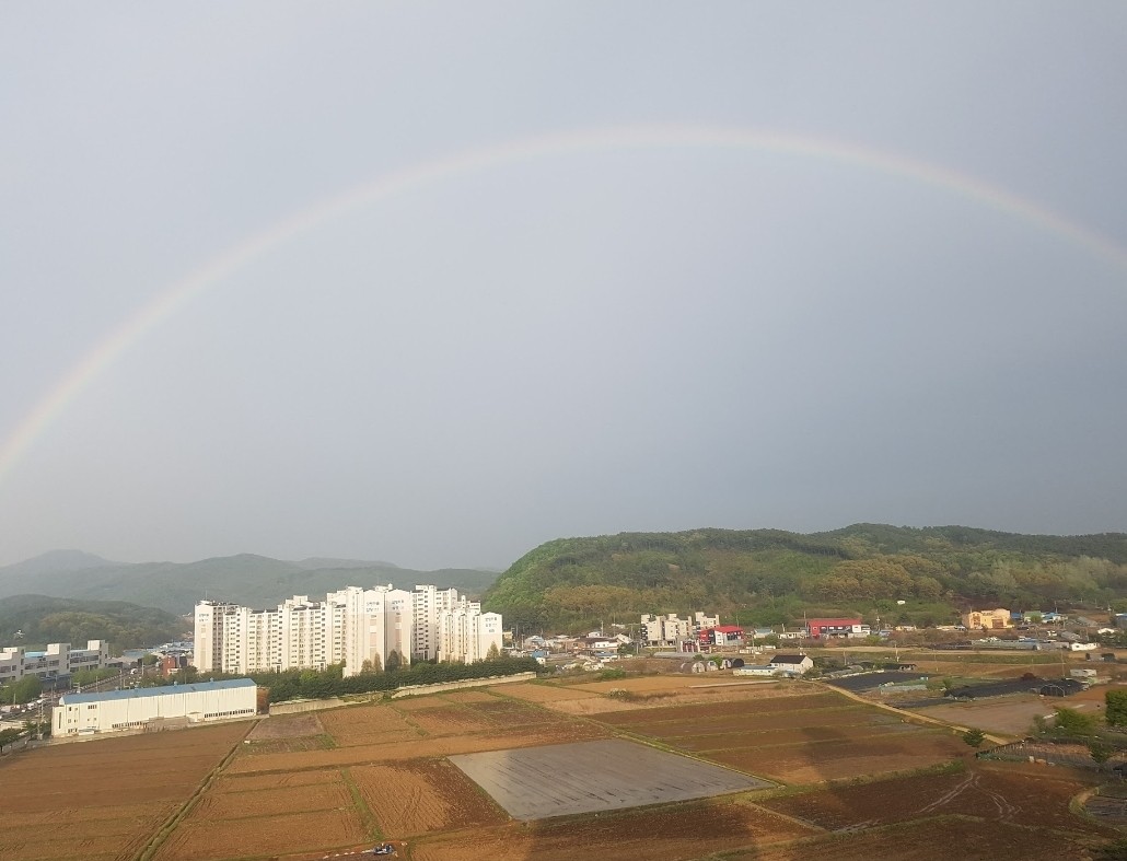 고림동 힐스테이트용인둔전역의 실거래가 시세 매물 주변정보 아파트는 호갱노노
