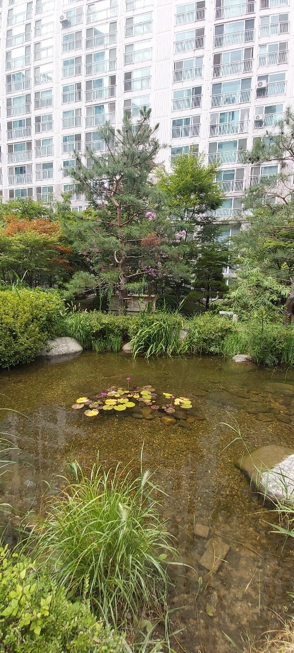 동탄 반송동 시범한빛마을동탄아이파크의 실거래가 시세 매물 주변정보 아파트는 호갱노노