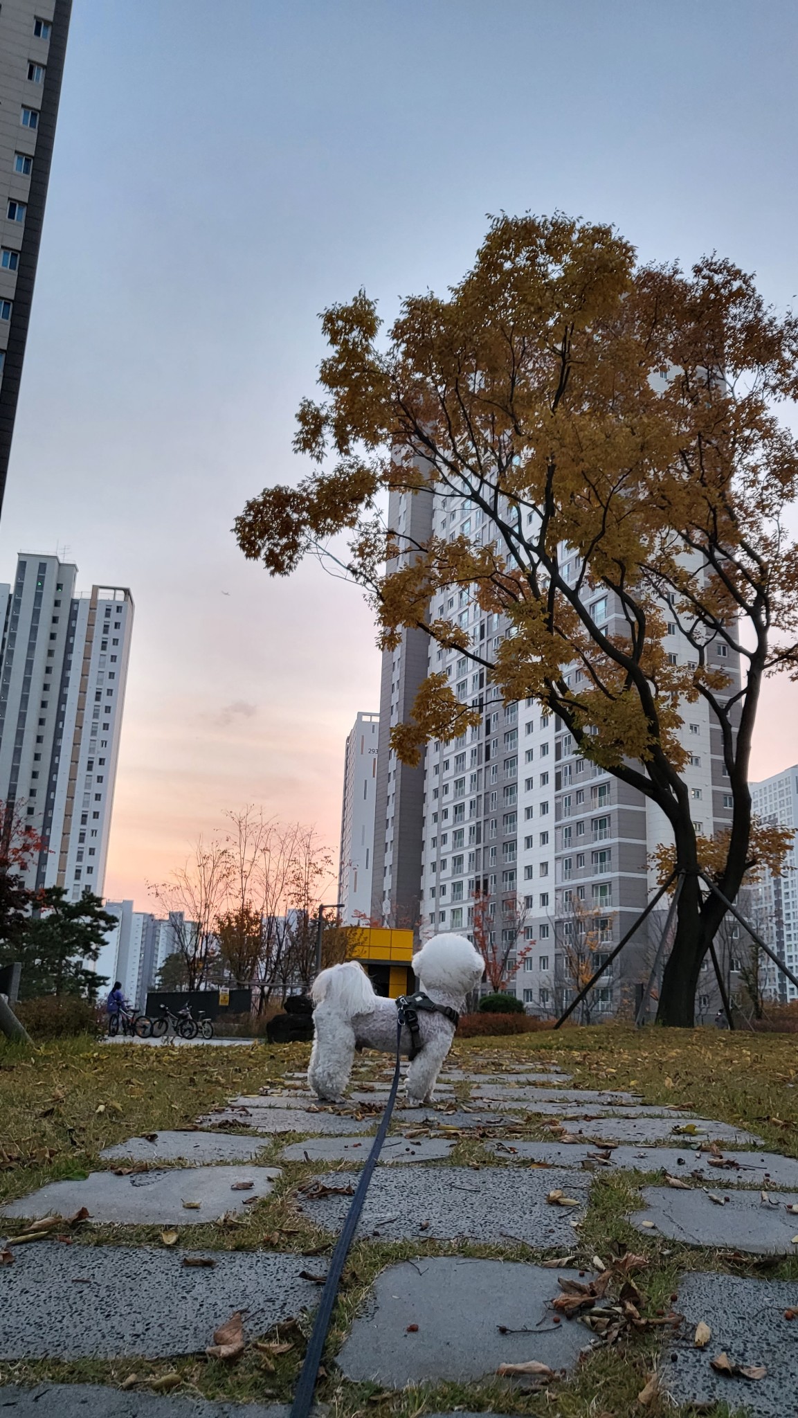 동탄2 장지동 동탄호수공원아이파크의 실거래가 시세 매물 주변정보 아파트는 호갱노노