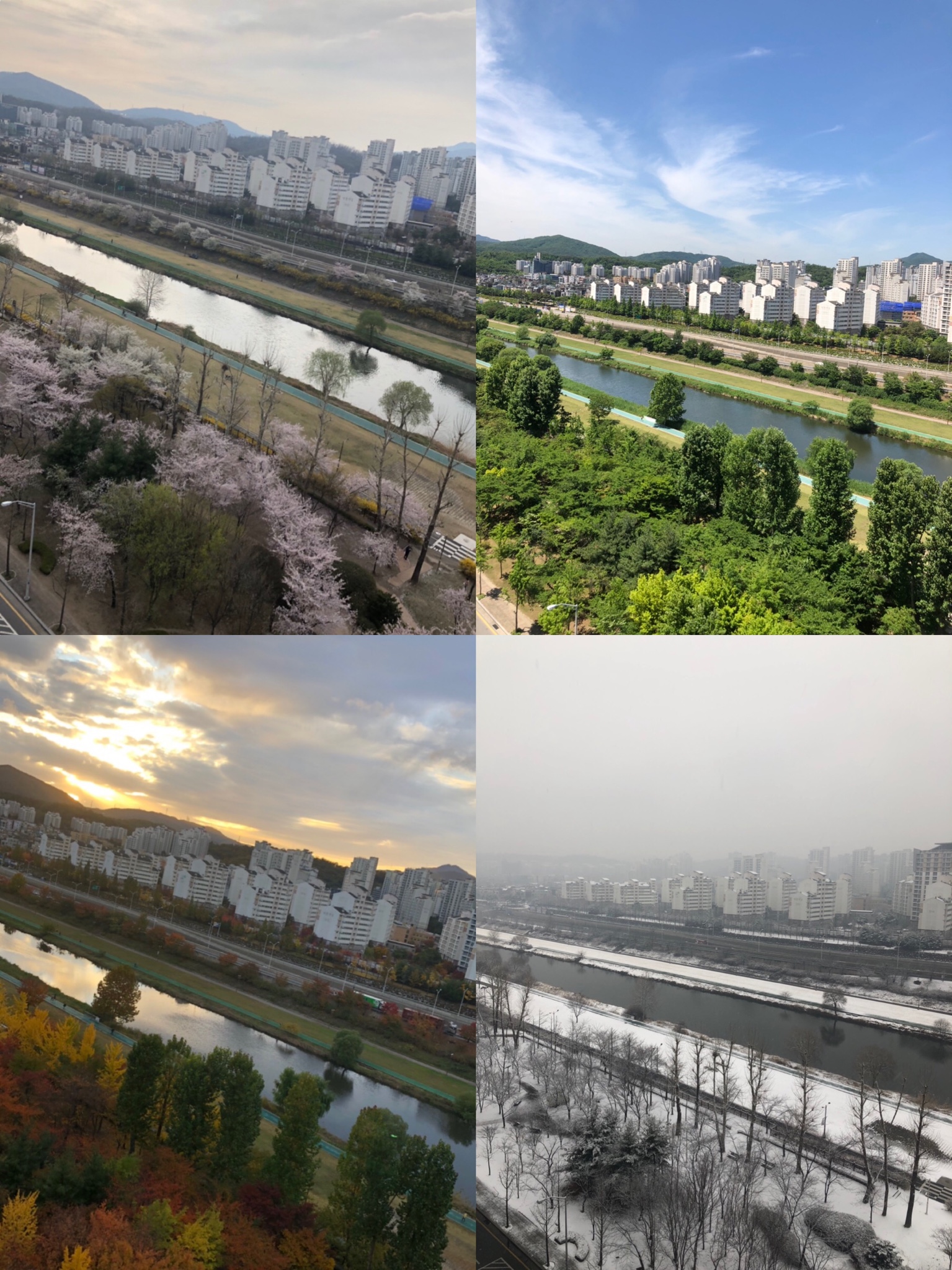 분당 서현동 분당풍림아이원플러스의 실거래가 시세 매물 주변정보 아파트는 호갱노노