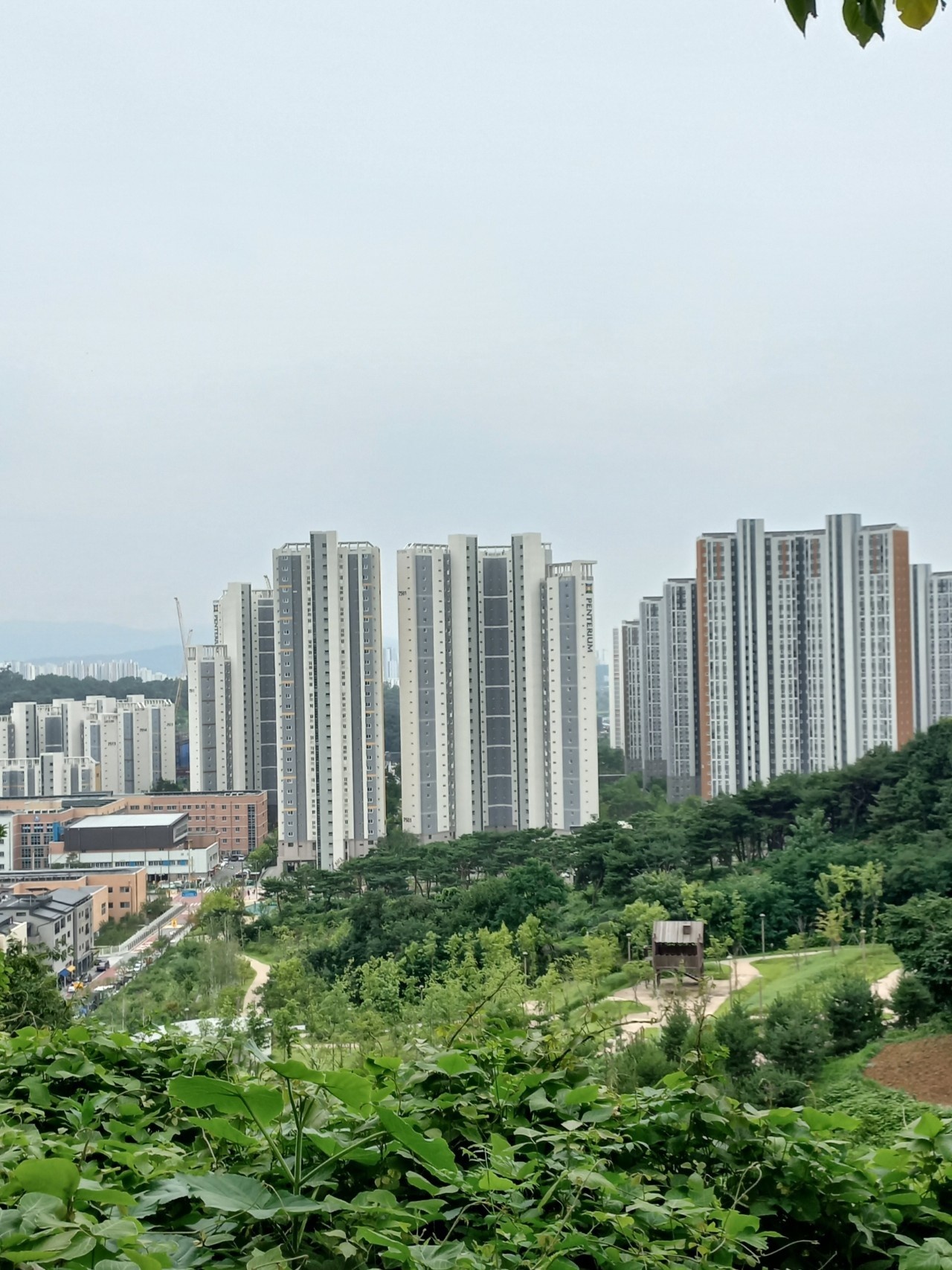 다산동 다산금강펜테리움리버테라스2차의 실거래가 시세 매물 주변정보 아파트는 호갱노노