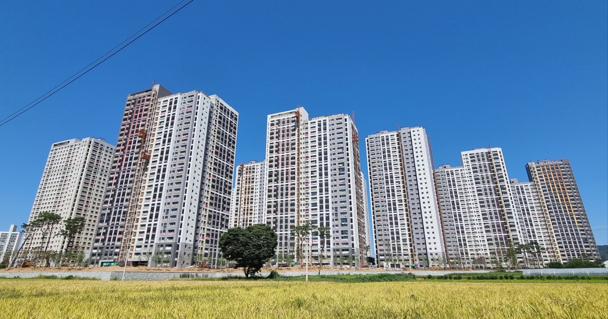 고림동 힐스테이트용인둔전역의 실거래가 시세 매물 주변정보 아파트는 호갱노노
