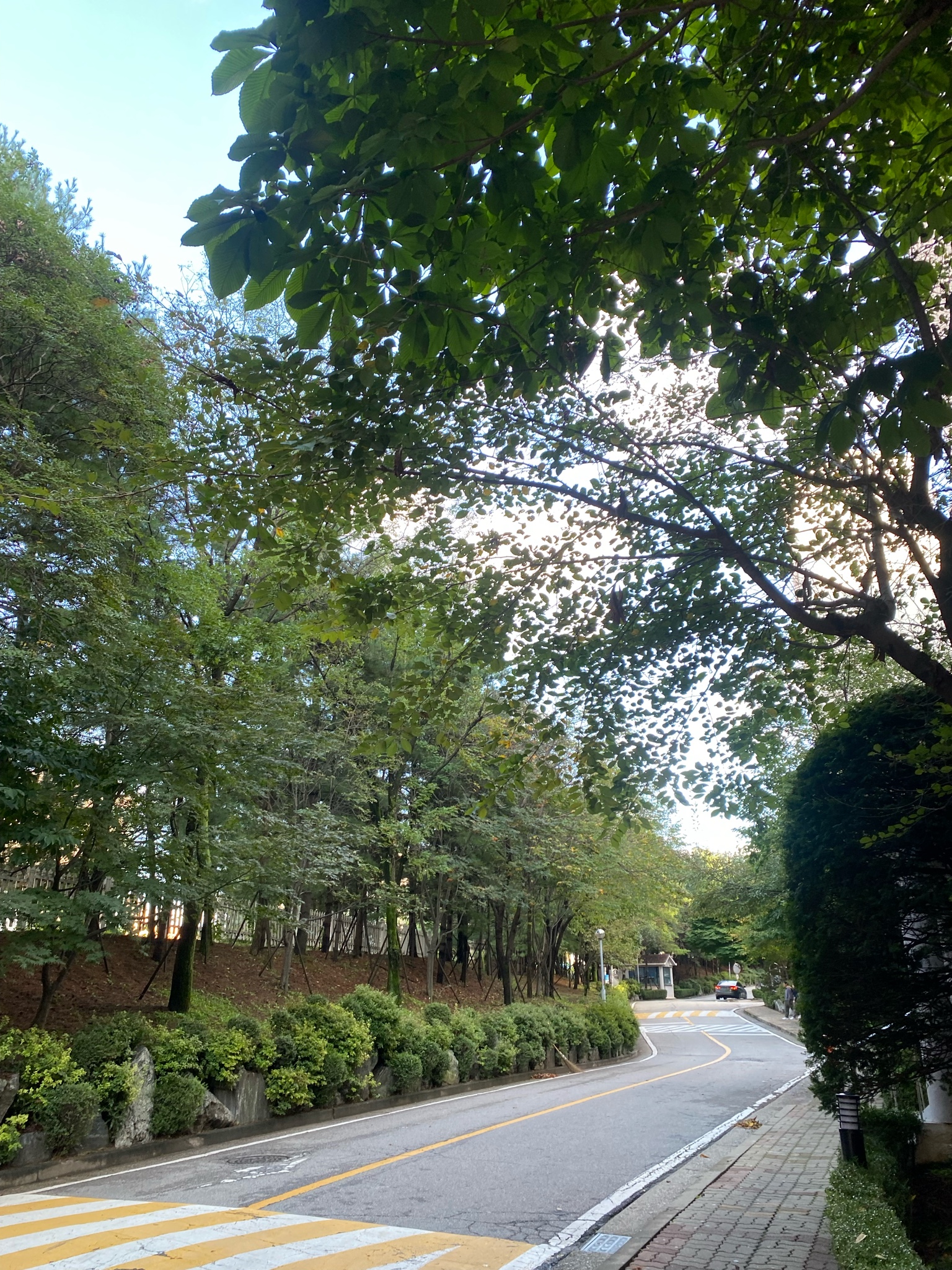 한울마을2단지운정벽산블루밍의 이야기 진짜 살기 너무 좋은 아파트입니다 가격 저렴하지 교통좋지 위