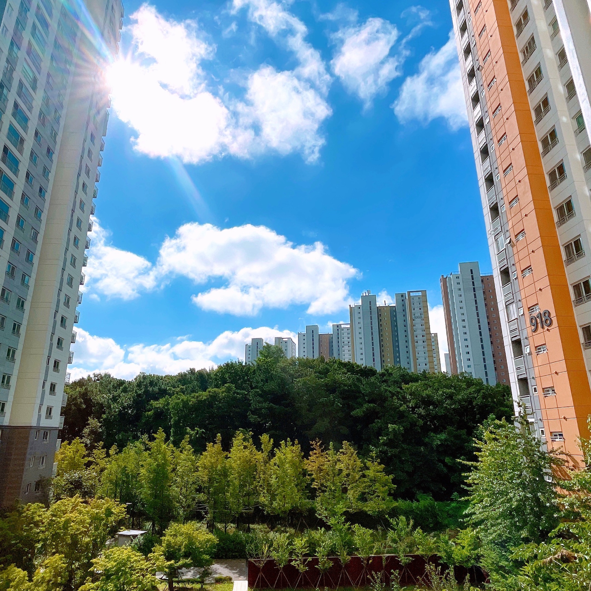 산내마을9단지힐스테이트운정의 이야기 사계절이 다 너무 예쁜 힐스입니다🩵 저층에서도 이런뷰라니