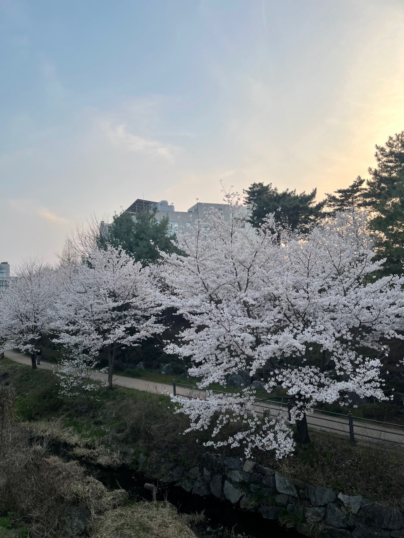 광교 이의동 광교호반베르디움트라엘의 실거래가 시세 매물 주변정보 아파트는 호갱노노