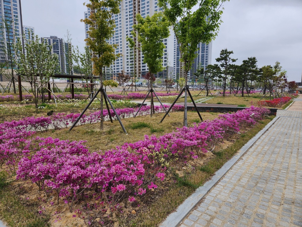 포항한신더휴펜타시티A4BL의 이야기 | 산책하기 너무 좋은것 같아요~