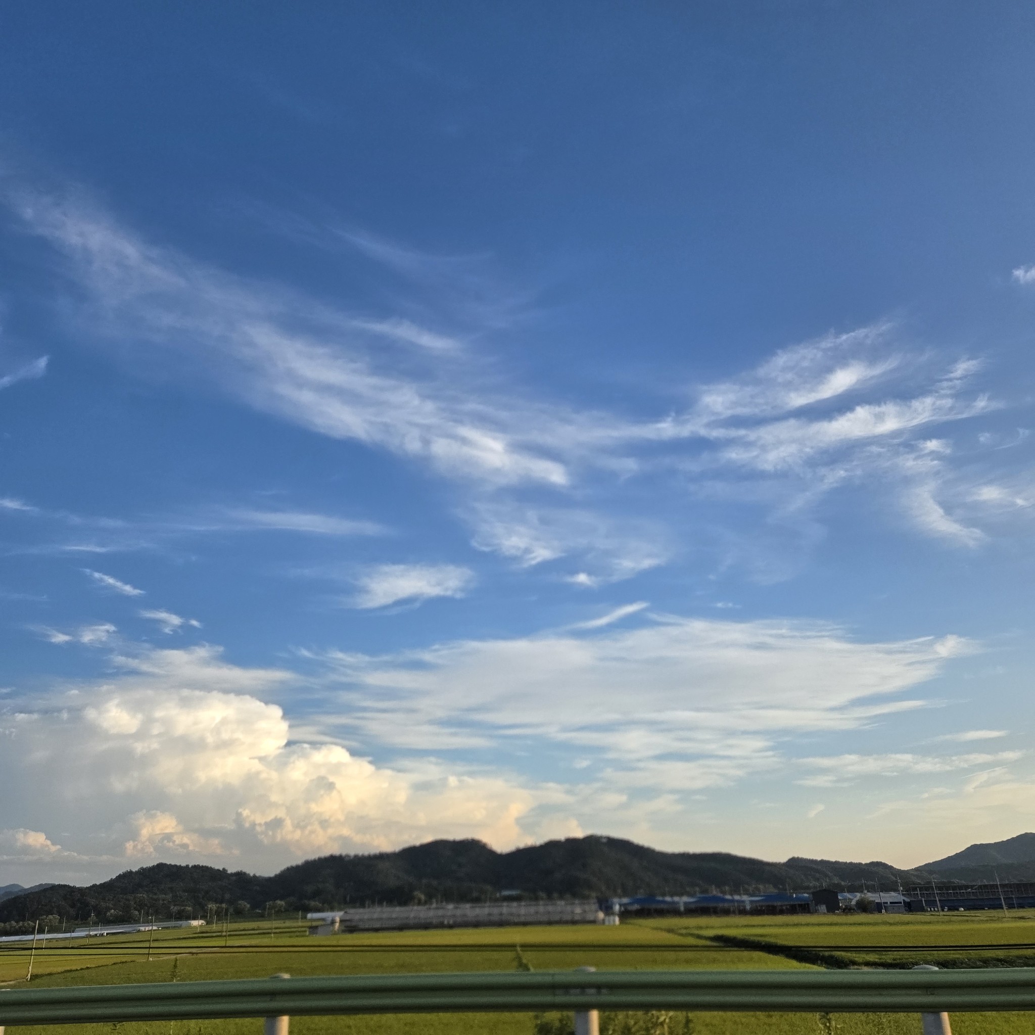 북수원이목지구디에트르더리체1차(A4BL)의 이야기 | 빨리 올라가고 싶은데 차가 너무 많네요 역시